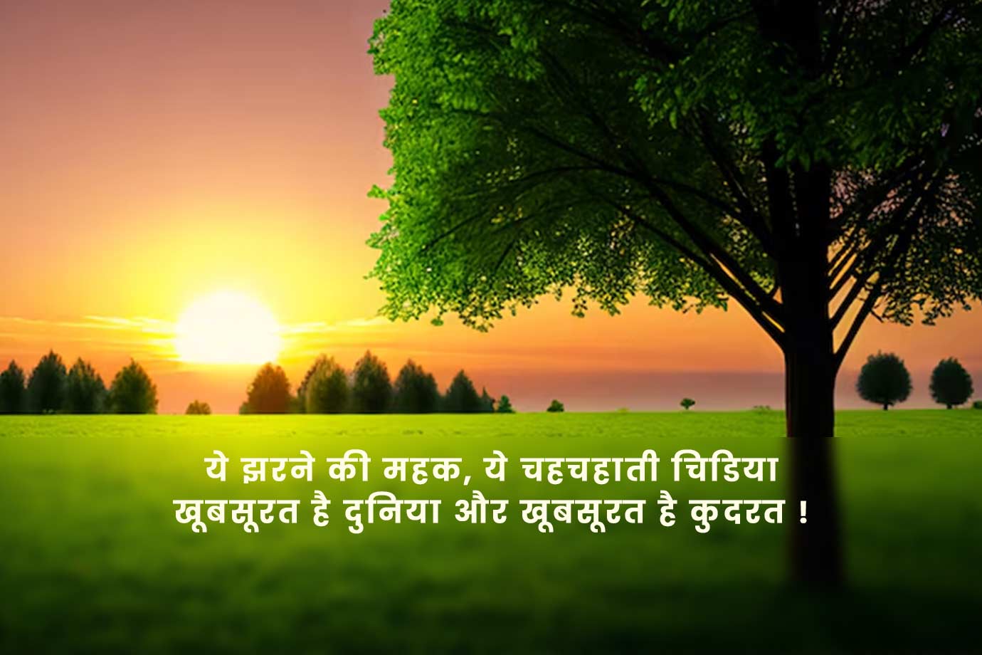 Nature Quotes In Hindi: नेचर के प्रति प्रेम को दिखाना है, तो इन खूबसूरत ...