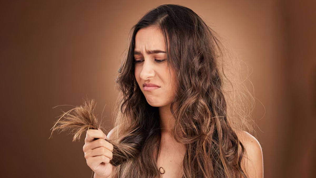 Rough Hair Treatment: झाड़ू की तरह रूखे और कठोर हो रहे हैं बाल, तो ...