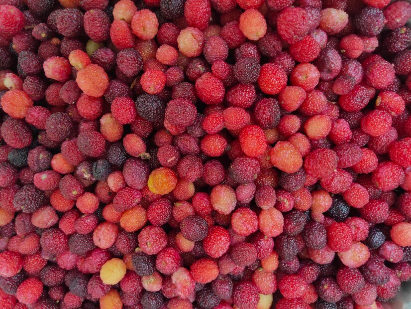 ब्लड प्रेशर के साथ मोटापा भी कंट्रोल करता है यह लाल फल | kafal fruit ...