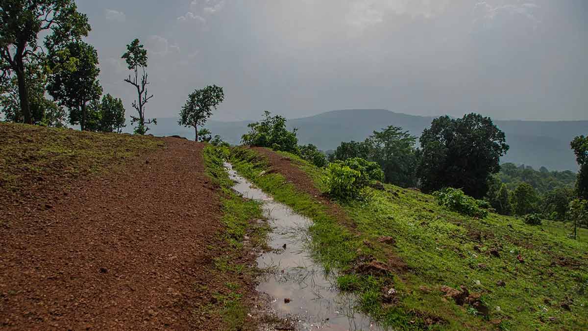 छत्तीसगढ़ की इस जगह उल्टी दिशा में बहता है पानी, जानें क्या है इसका ...