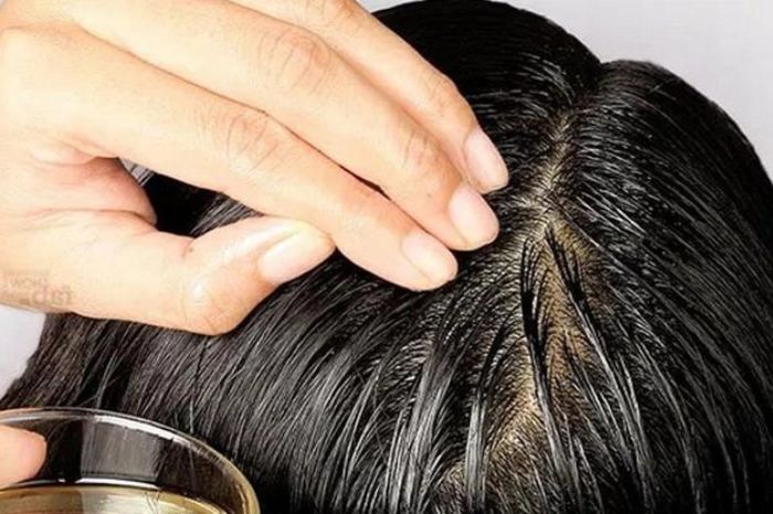 Smelly Hair: உங்கள் கூந்தலில் அடிக்கடி துர்நாற்றம் வீசுகிறதா? இப்படி ...