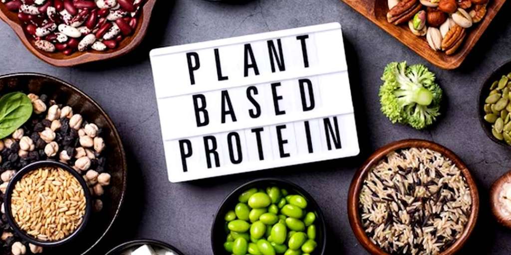 5 Healthy Plant Based Food Options To Add To Your Diet