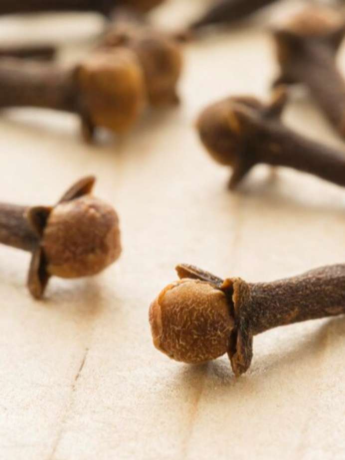 ஒரே ஒரு கிராம்பு இரவு சாப்பிட்டால் கிடைக்கும் 7 நன்மைகள்