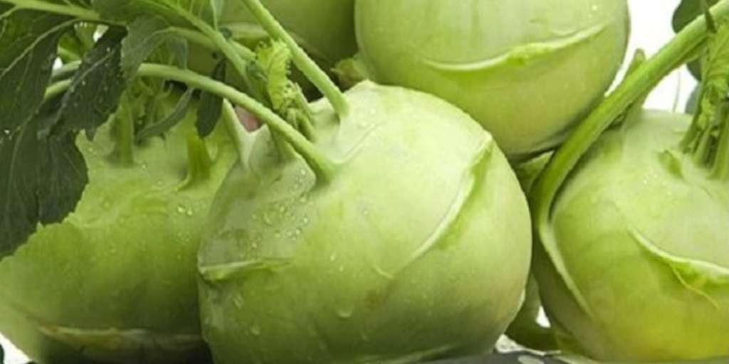 நூல்கோலை சாதாரணமா நினைக்காதீங்க, இதன் நன்மைகளை தெரிந்தால் ...