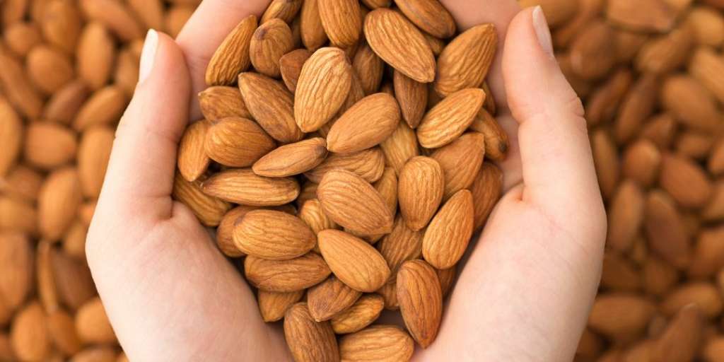 How Do Soak Almonds Help Improve Memory In Adults?