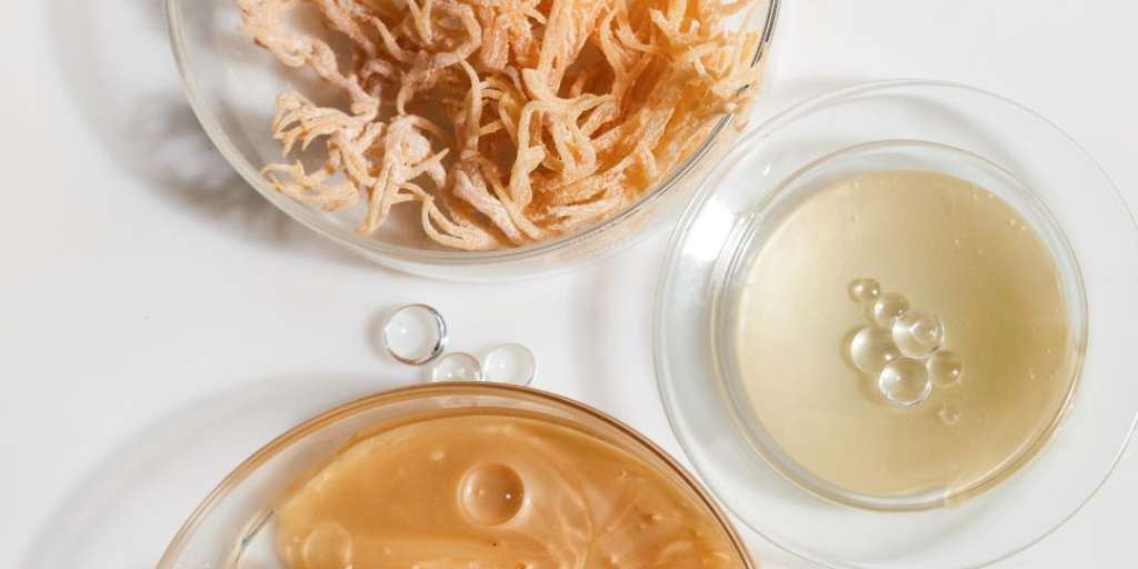 Sea Moss Skincare Tips: Check Out The Amazing Benefits You Didn’t Know!