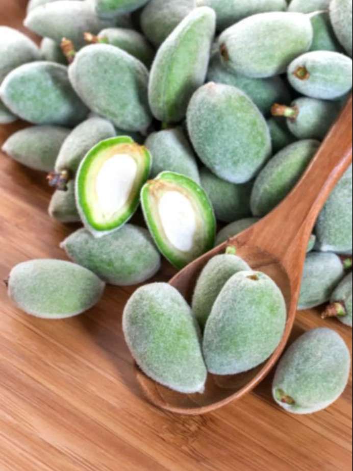 2 महीने मिलने वाला यह बादाम सेहत के लिए है रामबाण