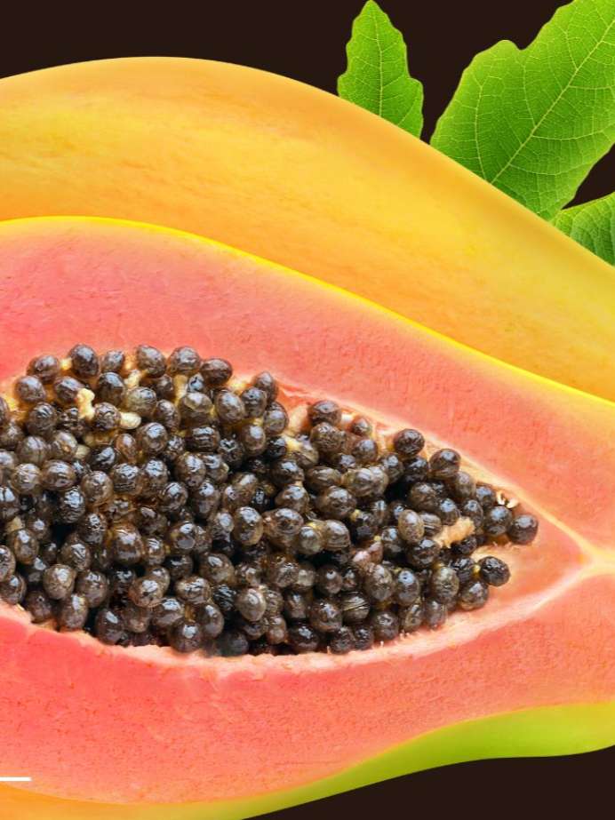 7 Science-Backed Health Benefits Of Papaya Seeds