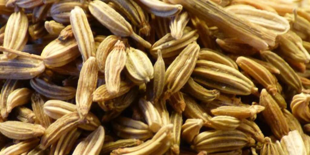 7 Incredible Benefits Of Chewing Carom Seeds Everyday
