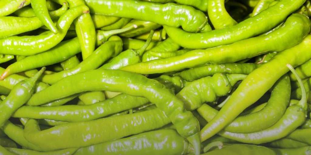 9 Surprising Benefits Of Eating Green Chillies Daily With Your Meal