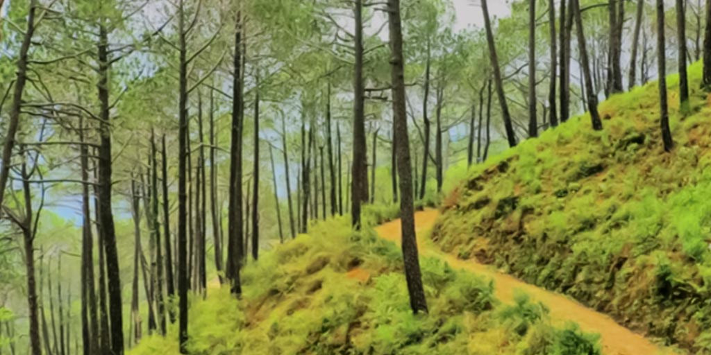 Pragpur: All You Need To Know About The Heritage Village