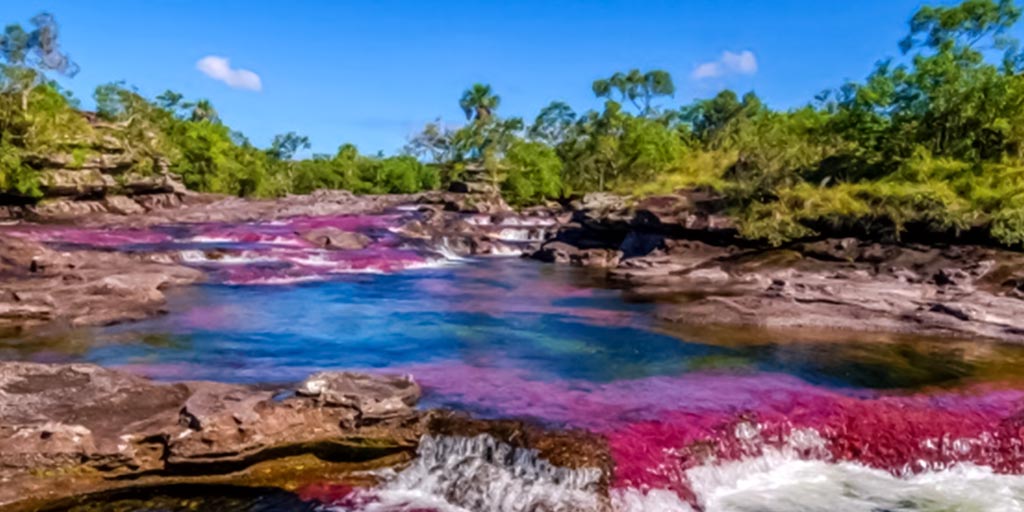 5 Things To Know About Cano Cristales, The Rainbow River