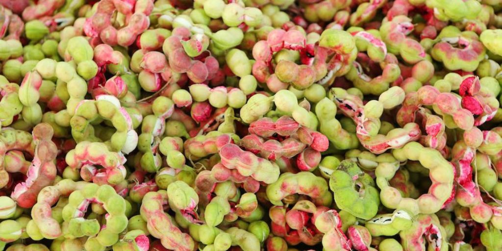 நம்ம ஊரு கொடுக்காப்புளியில் இவ்வளவு நன்மைகளா