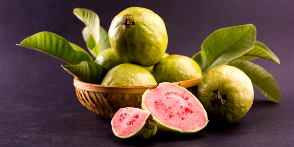 கொய்யா பழத்தின் மிக சிறந்த நன்மைகள் பற்றி தெரியுமா?